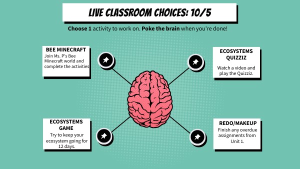 BRAIN LIVE CLASSROOM