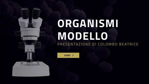 Gli organismi modello | Genially