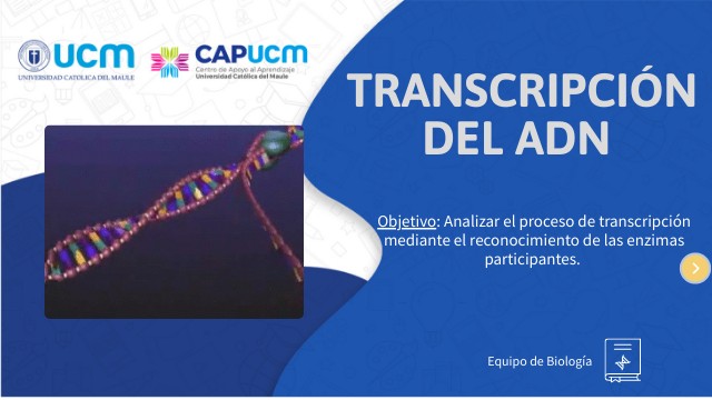 Transcripción | Genially