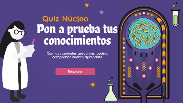 U1- Tema 3- Pregunta interactiva