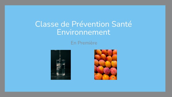 PSE 1ère 2023-2024 | Genially