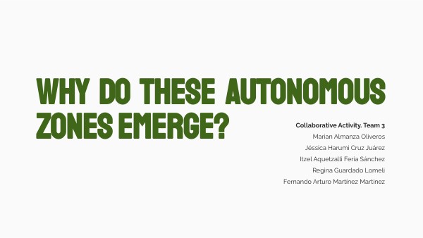 Autonomous Zones Team3