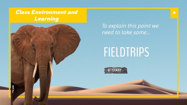 ANIMALS PRESENTATION