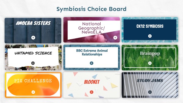 CHOICE BOARD | Genially