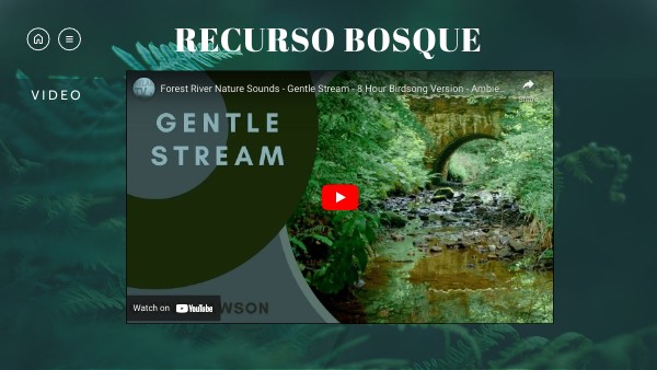 RECURSO BOSQUE