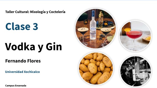 XOCHI- CLASE 3 VODKA Y GIN