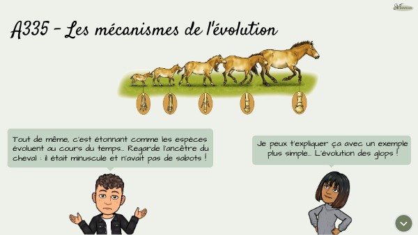 A335 - Jeu - Les mécanismes de l'évolution | Genially