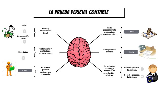 MAPA Prueba Pericial Contable | Genially