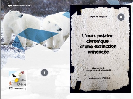 OURS POLAIRE - ULIS 1 COLLEGE OTFRIED