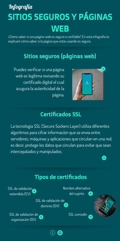 Infografía sitios seguros y páginas web | Genially