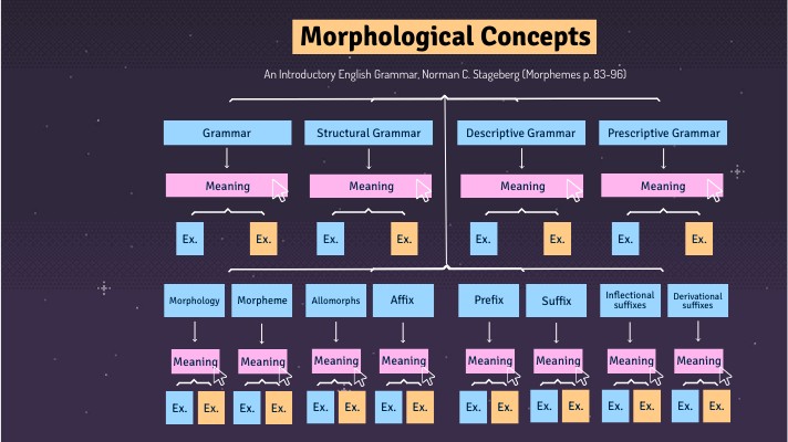 Conceptual Map Morphological Concepts