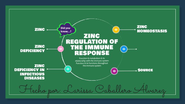 Zinc regulation of the immune response | Genially