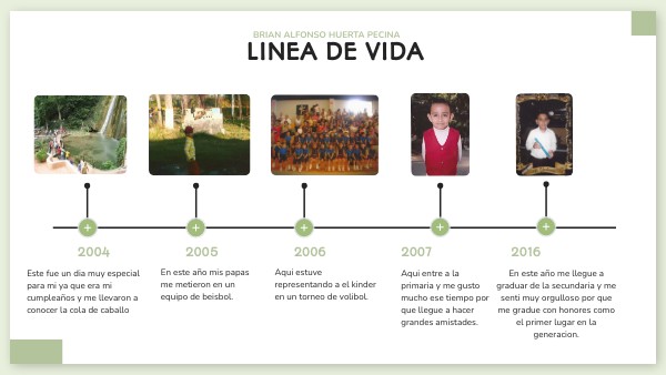 LINEA DE VIDA
