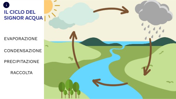 IL CICLO DEL SIGNOR ACQUA