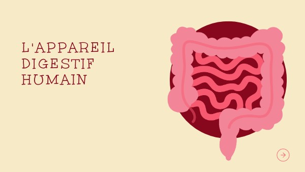 L'appareil digestif humain | Genially