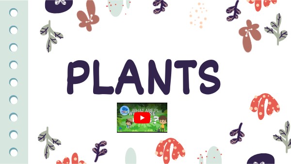 PLANTS | Genially