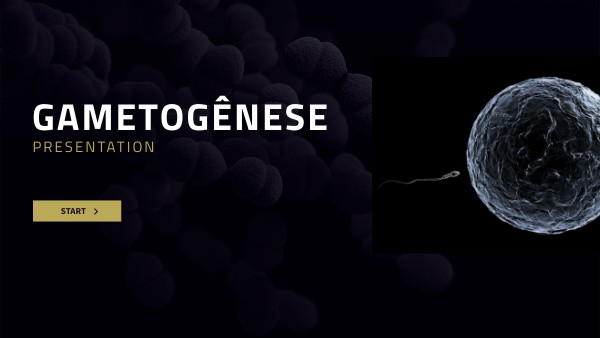 Gametogênese | Genially