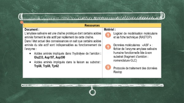 Ressources TP10 enzymes