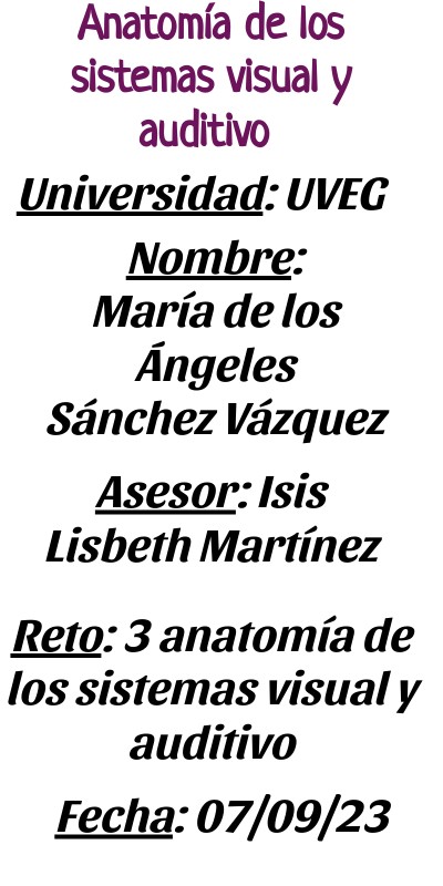 ANATOMIA SISTEMAS VISUAL Y AUDITIVO