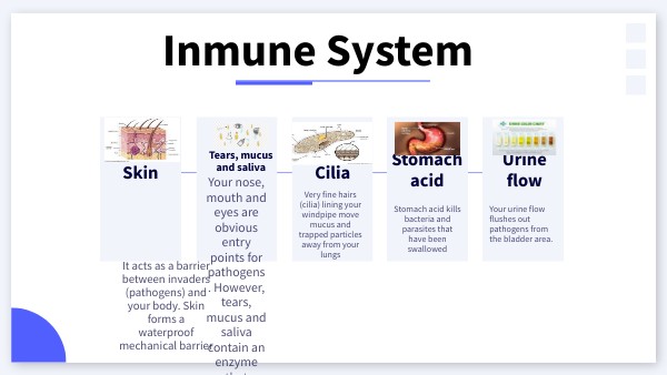 Inmune system