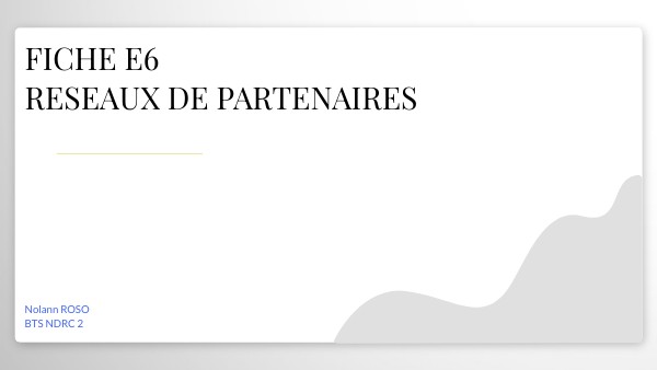 Fiche e6 partenaires