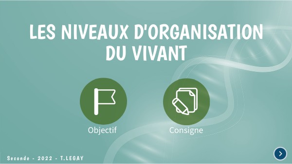 Les niveaux d'organisation du vivant - 2nde | Genially