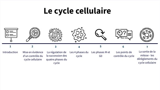 BASIC GUIDE | Genially