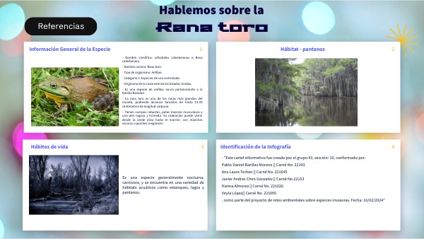 Rana toro - infografía | Genially