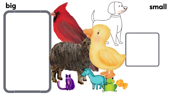 Brown Bear, Brown Bear Sort