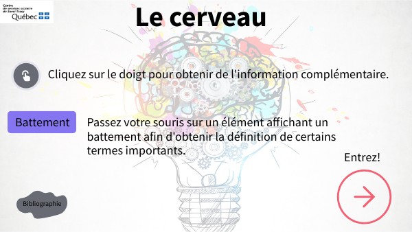 Cerveau (ancien) | Genially