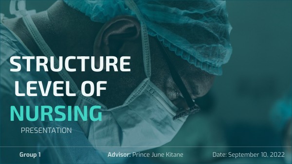 STRUCTURE LEVEL OF NURSING | Genially