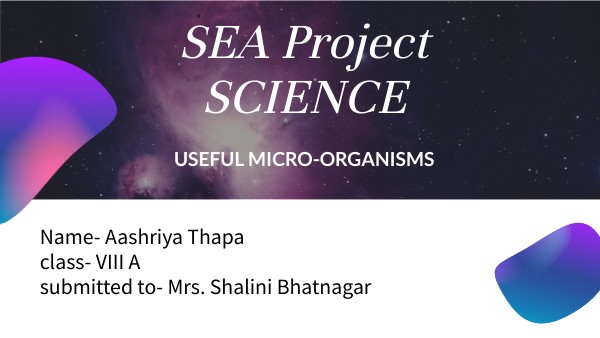 ORGANIC PRESENTATION II