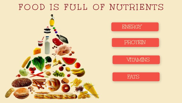 DIGESTIVE SYSTEM | Genially