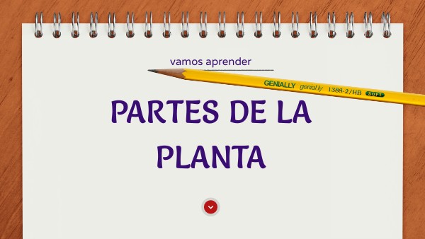 LIBRETA: PARTES DE LA PLANTA