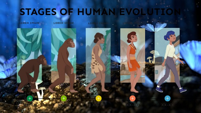 STAGES OF HUMAN EVOLUTION | Genially