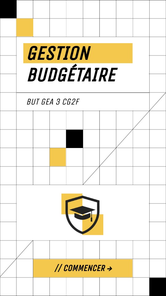 Contrôle de gestion BUT GEA 3 CG2F