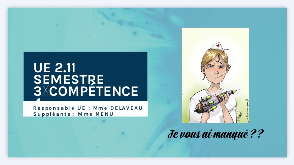 Présentation UE 2.11 S3 | Genially