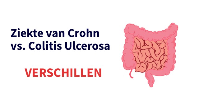 GENIAL SLIDESHOW | Genially