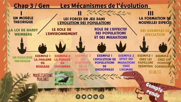 Mécanismes de l'évolution | Genially