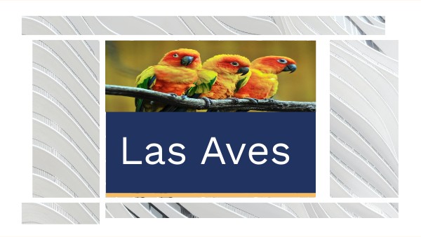 Las aves | Genially