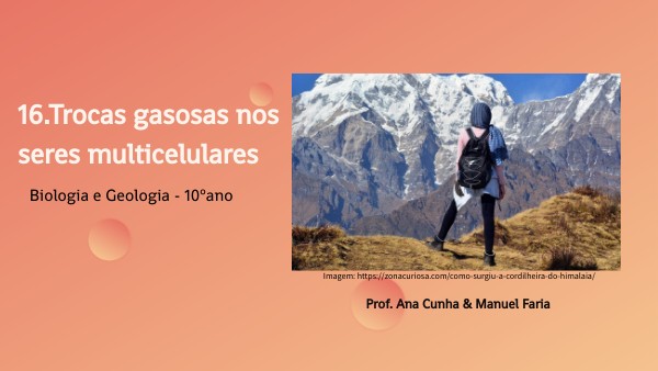 16. Trocas gasosas nos seres multicelulares (cópia)