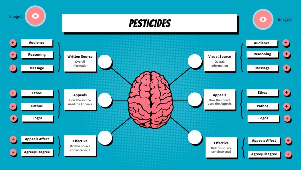 PBA 2: Pesticides Carys.S | Genially