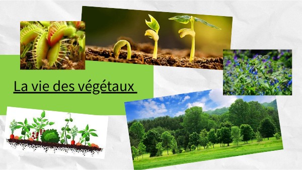 5e- Chapitre 6 La vie des végétaux