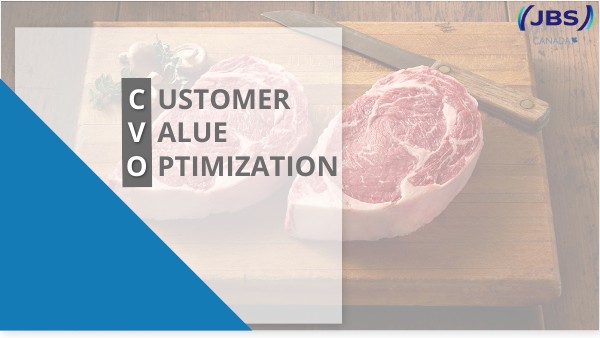 Business Optimization Pilot Program