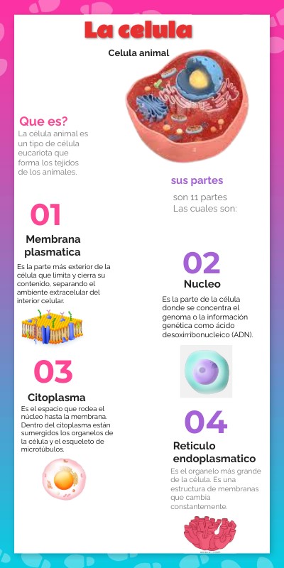 Celula Animal | Genially