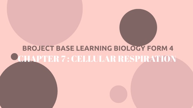 FERMENTATION USING YEAST