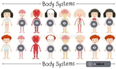 Sistemas del Cuerpo | Genially
