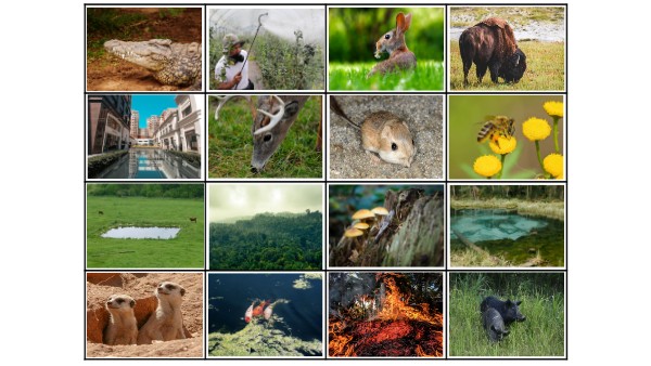 Changes to Ecosystem-Capture the Wheel | Genially