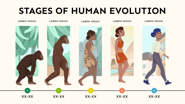 STAGES OF HUMAN EVOLUTION
