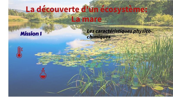 L'écosystème de la mare | Genially